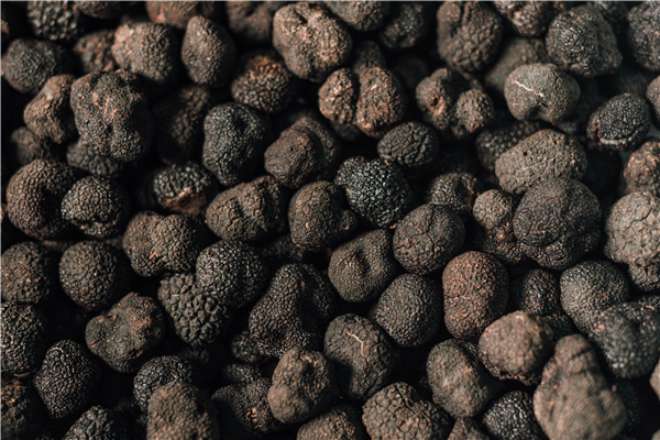 TRUFAS MANJARES DE LA TIERRA | Grupo Gourmets