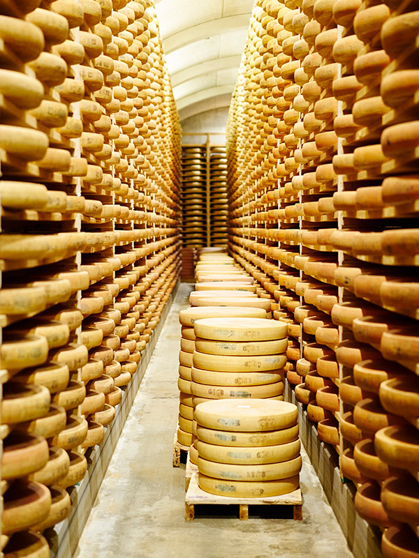 "El Comté" por excelencia | Grupo Gourmets
